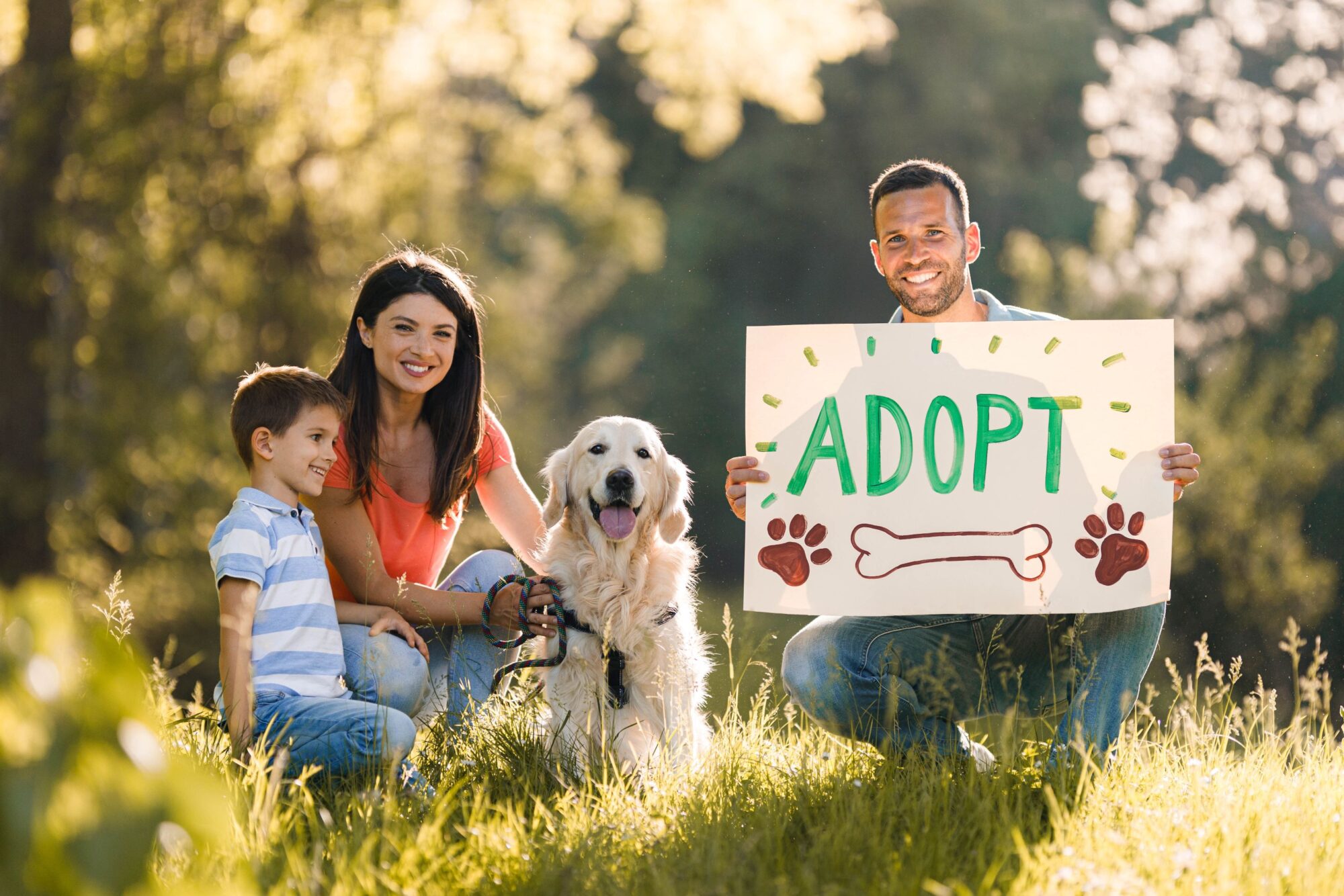 Our Veterinary Blog Langhorne Flowers Mill Vet Hospital